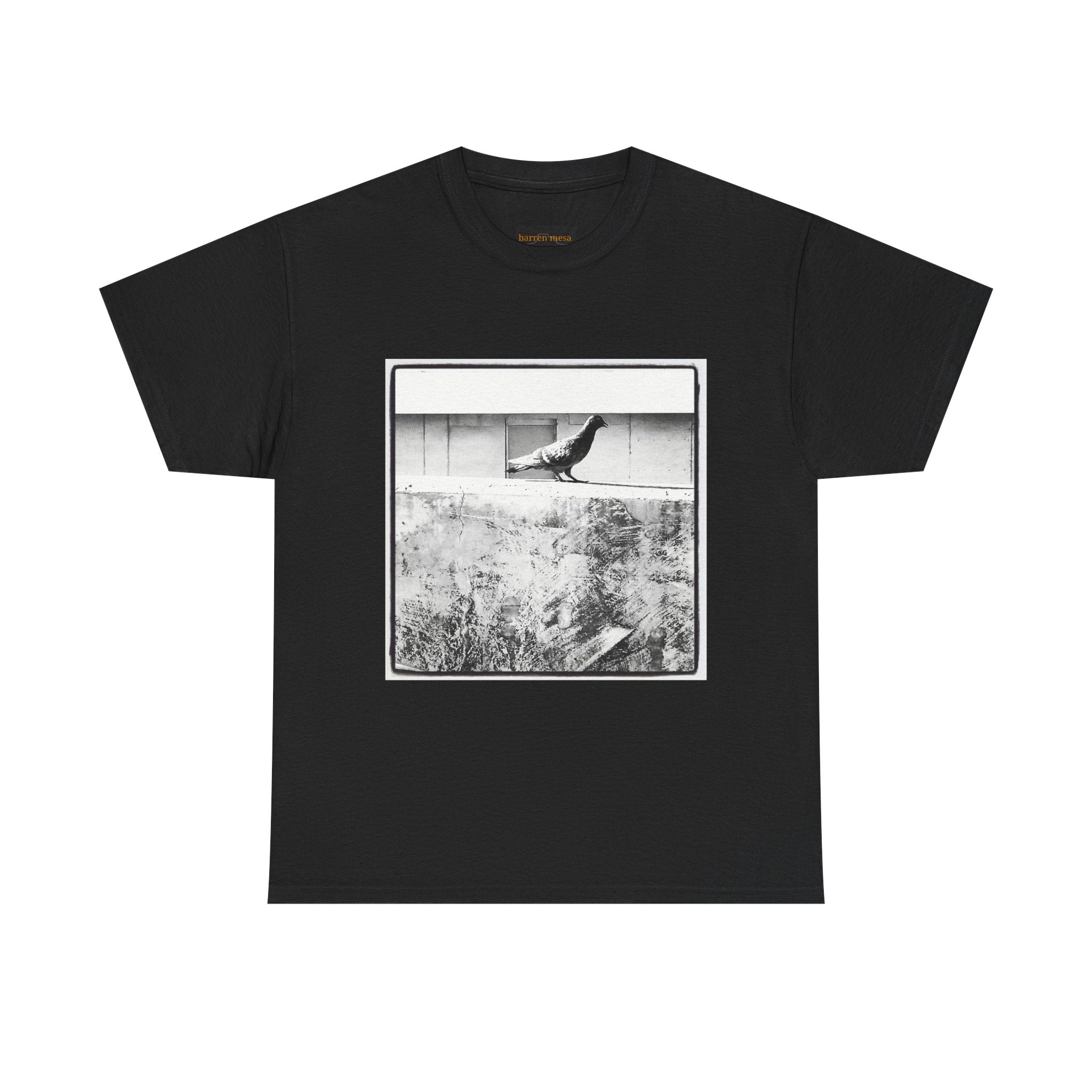 Concrete Pigeon – Barren Mesa